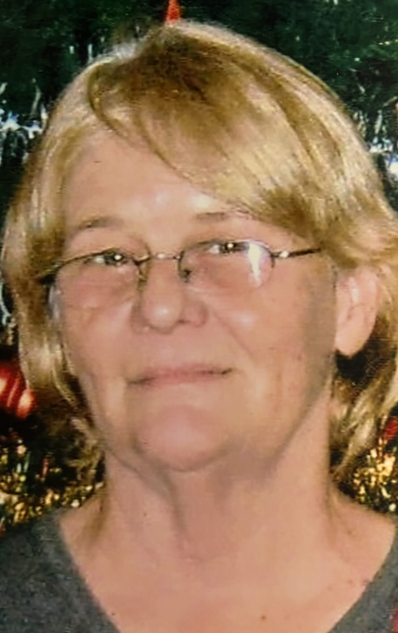 Linda Virgene Castle - Clinton County Daily News